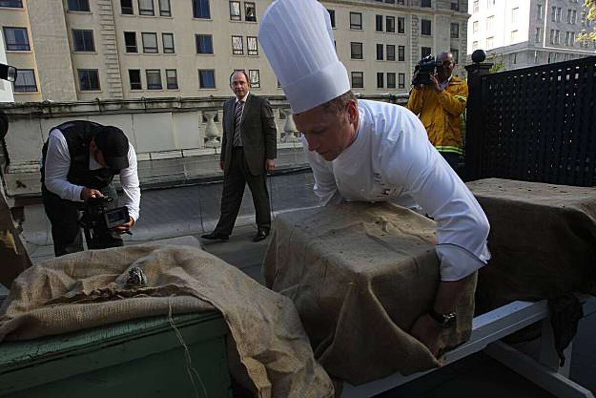 The Fairmont welcomes its newest guests: bees