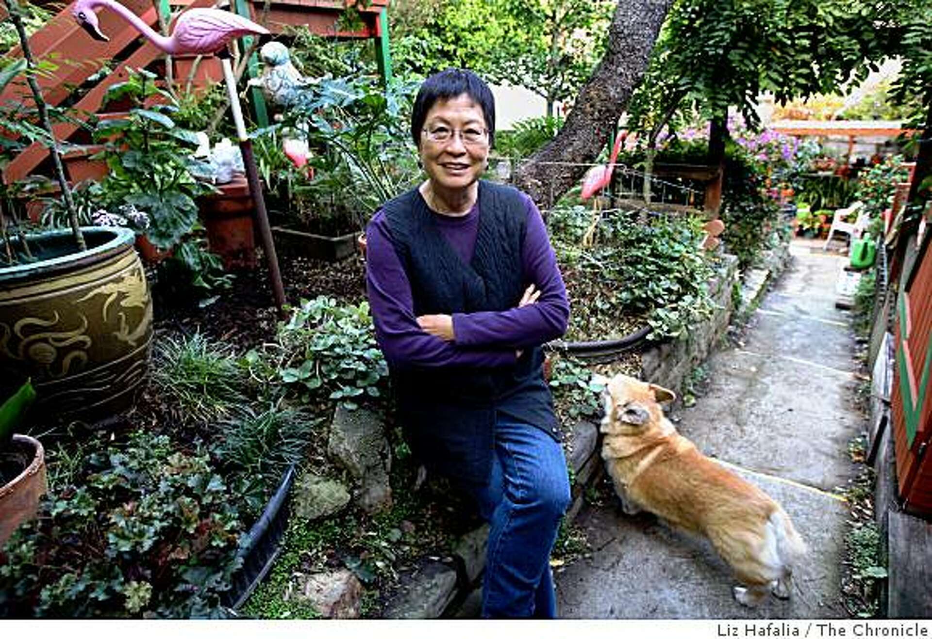 Rare modern Asian American art at de Young