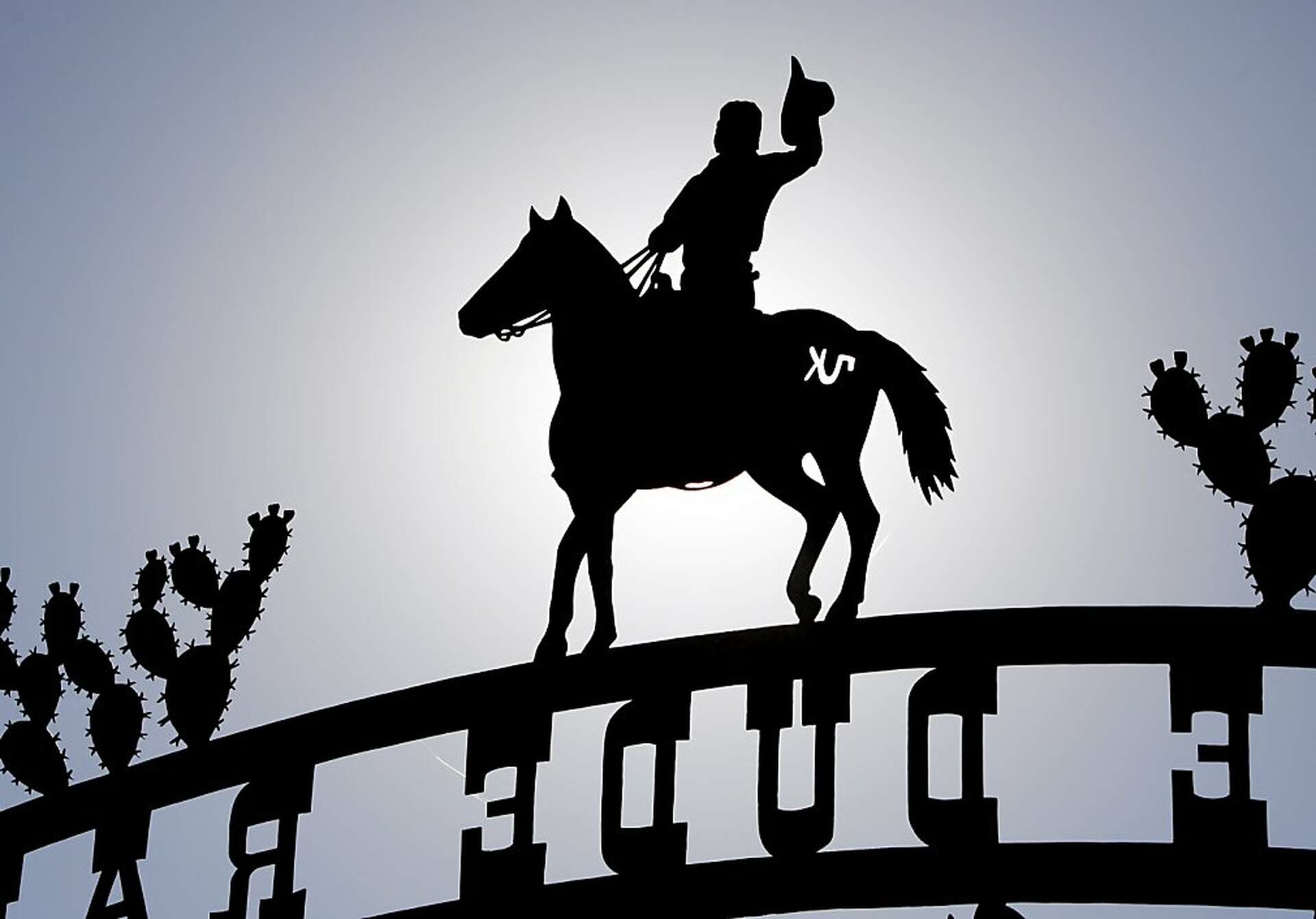 Cowboys turn connoisseurs in Texas wine region