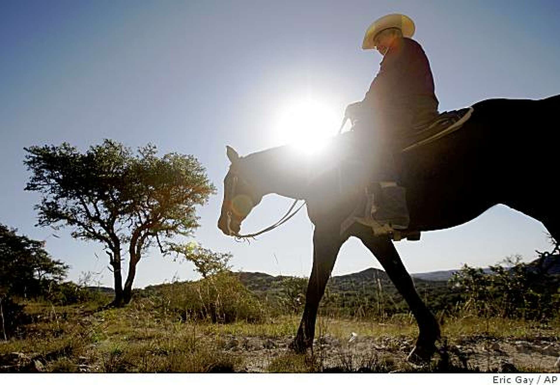 Cowboys turn connoisseurs in Texas wine region
