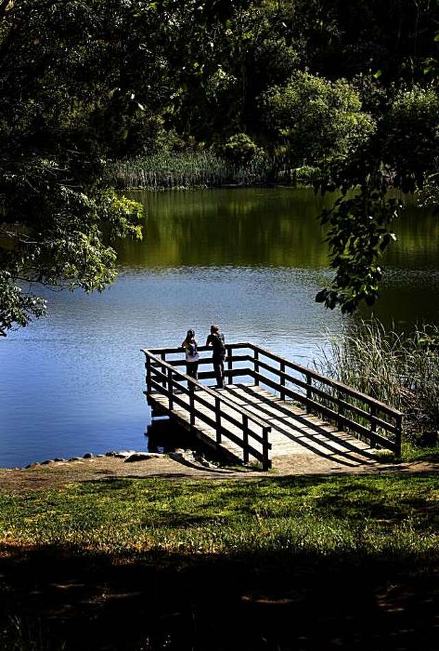 Dry Creek Garden to Jordan Pond: Hayward walk