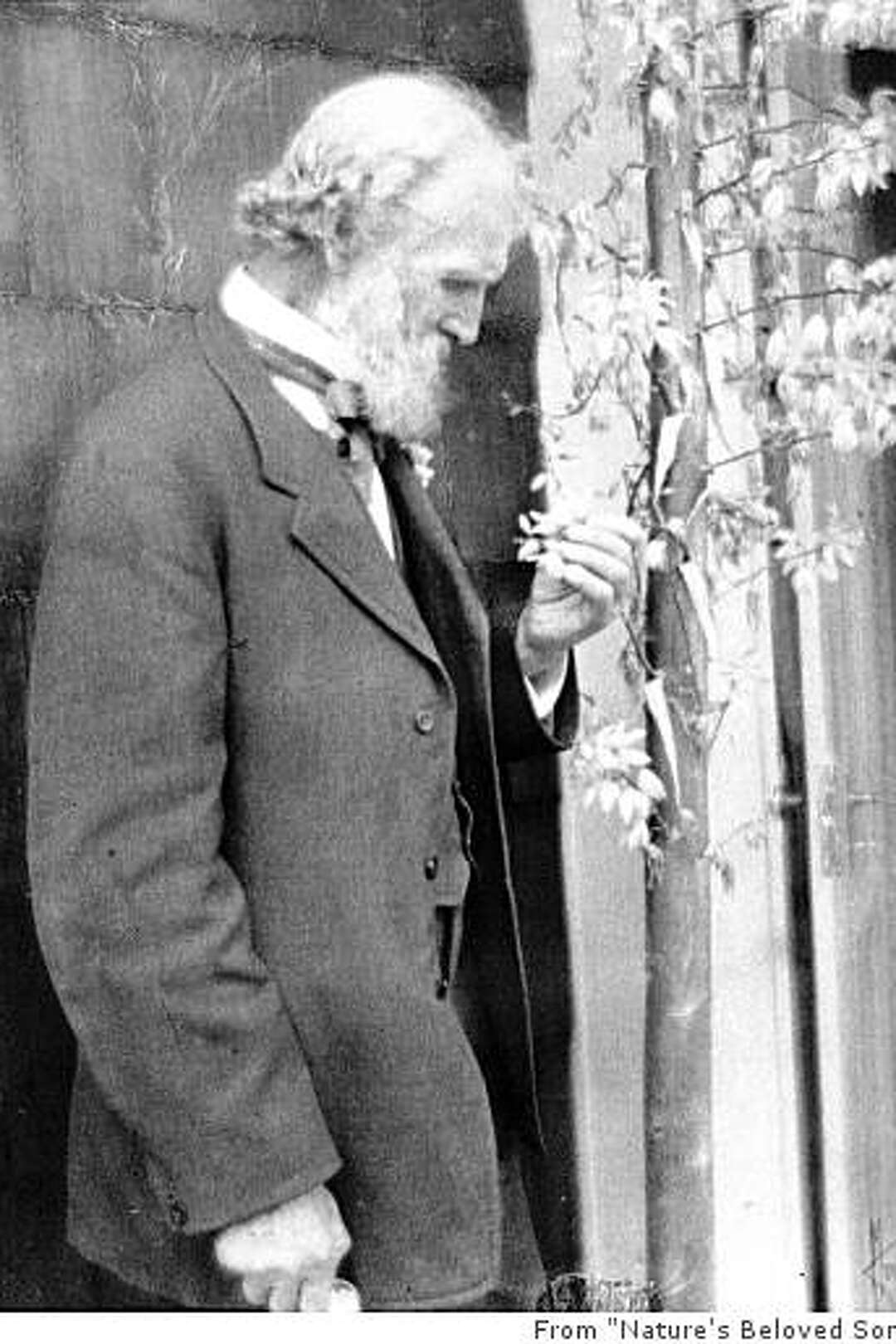 Revisiting John Muir's legacy