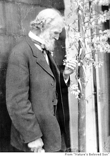 Revisiting John Muir's legacy