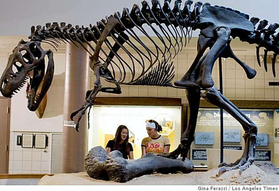 Utah one of world's best spots for dinosaurs - SFGate