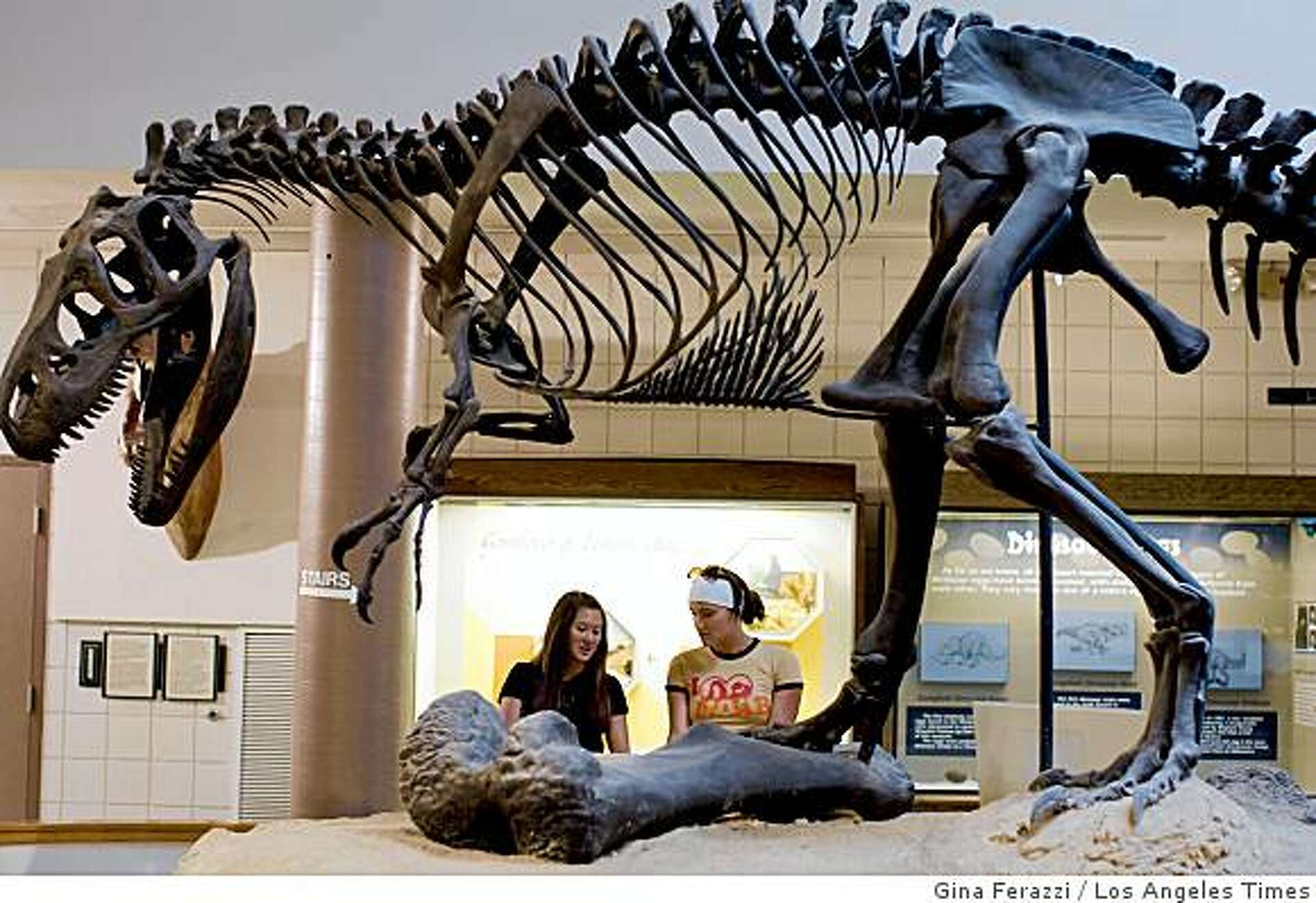 Utah one of world's best spots for dinosaurs