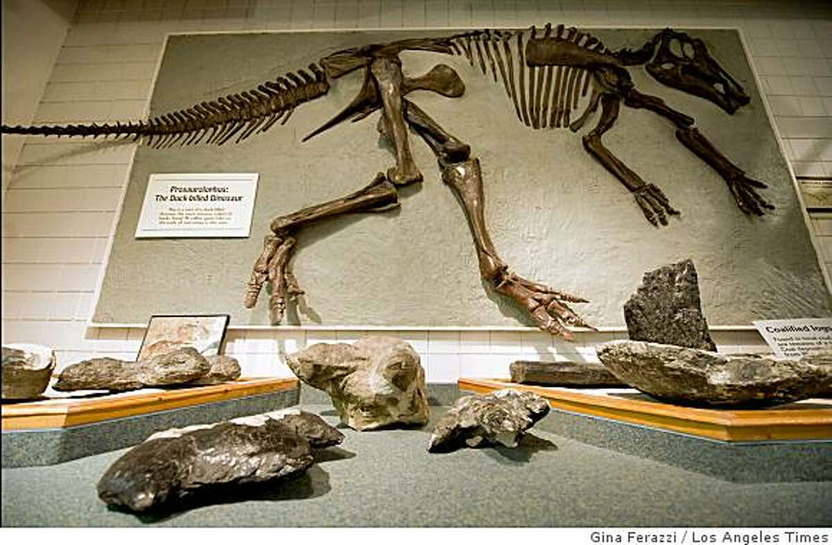 Utah one of world's best spots for dinosaurs