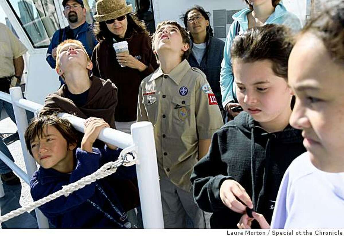 Eyes gaze at skies in awe of Blue Angels