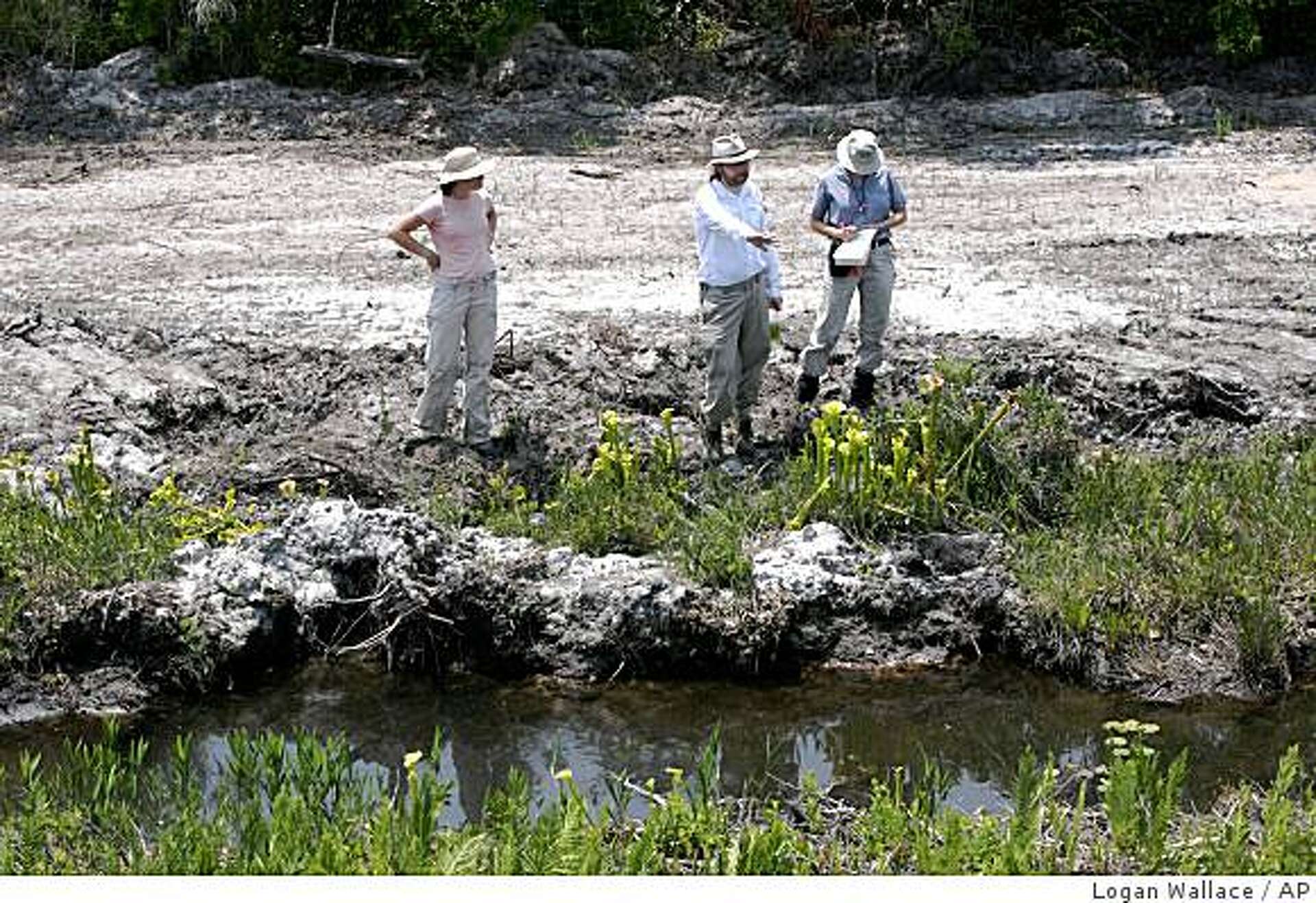 Sprawl, poaching chomp at venus flytrap