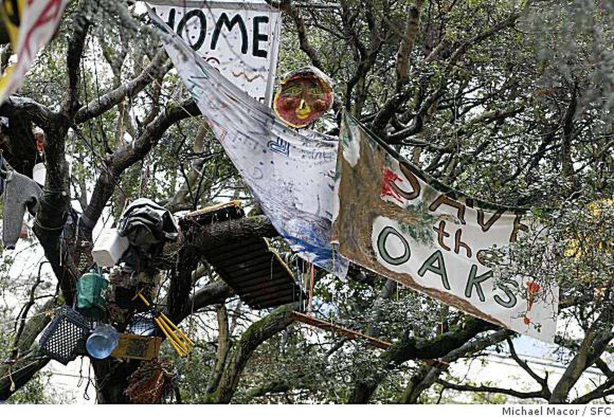 Cal chancellor calls tree-sit protest 'racism'