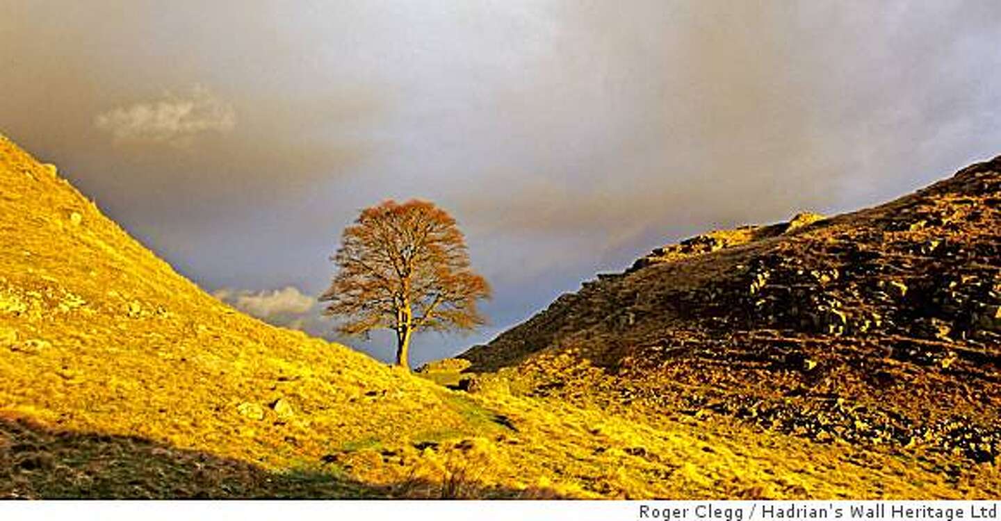 Roaming the Great Wall of Great Britain