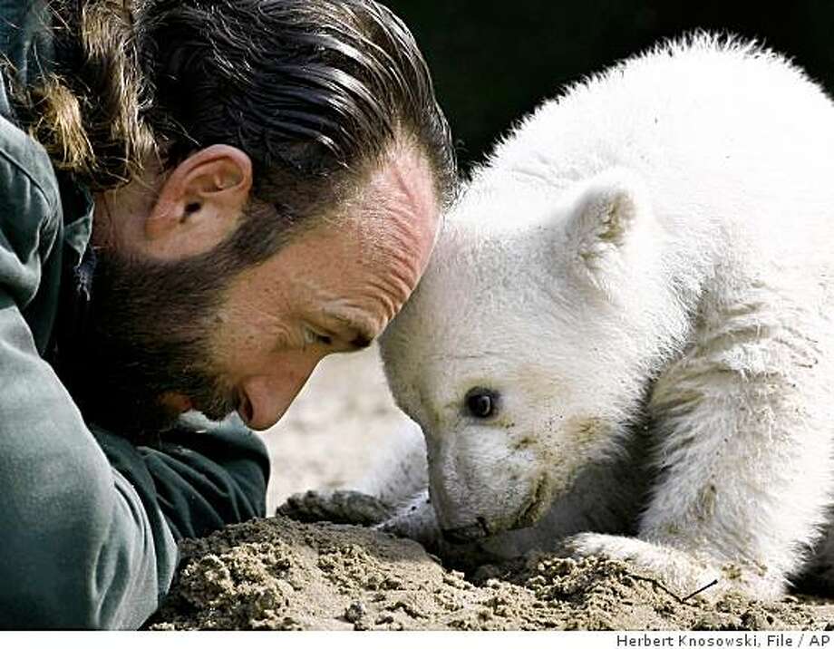 Thomas Doerflein, who reared polar bear Knut, dies - SFGate