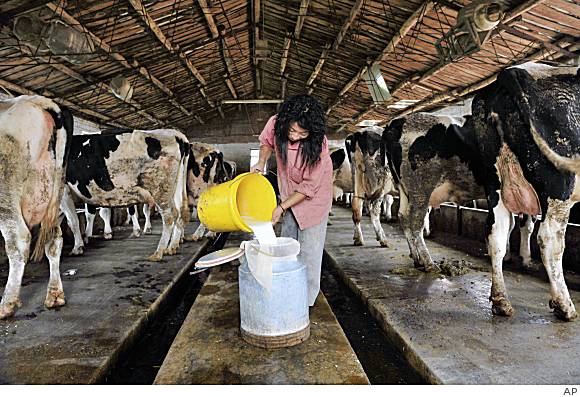 China moves to contain outrage in milk scandal