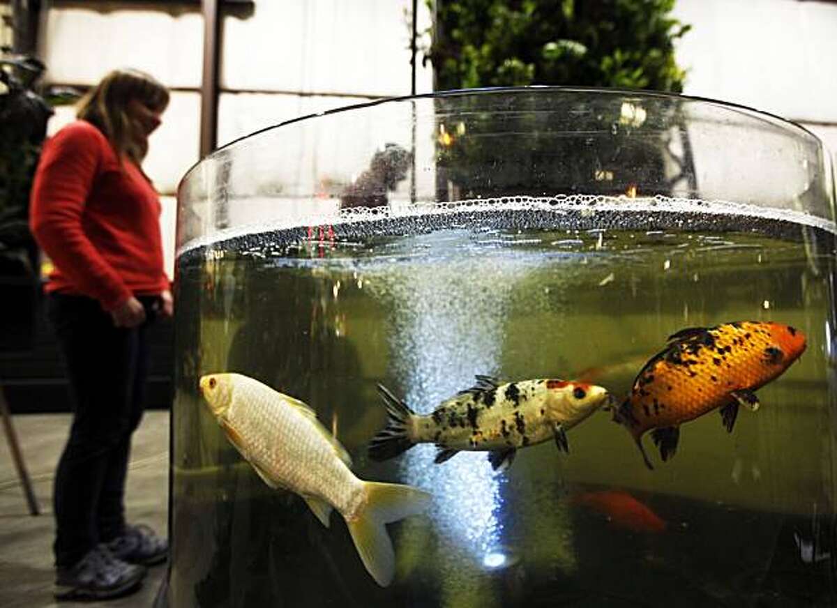 Designers look to the future of gardening