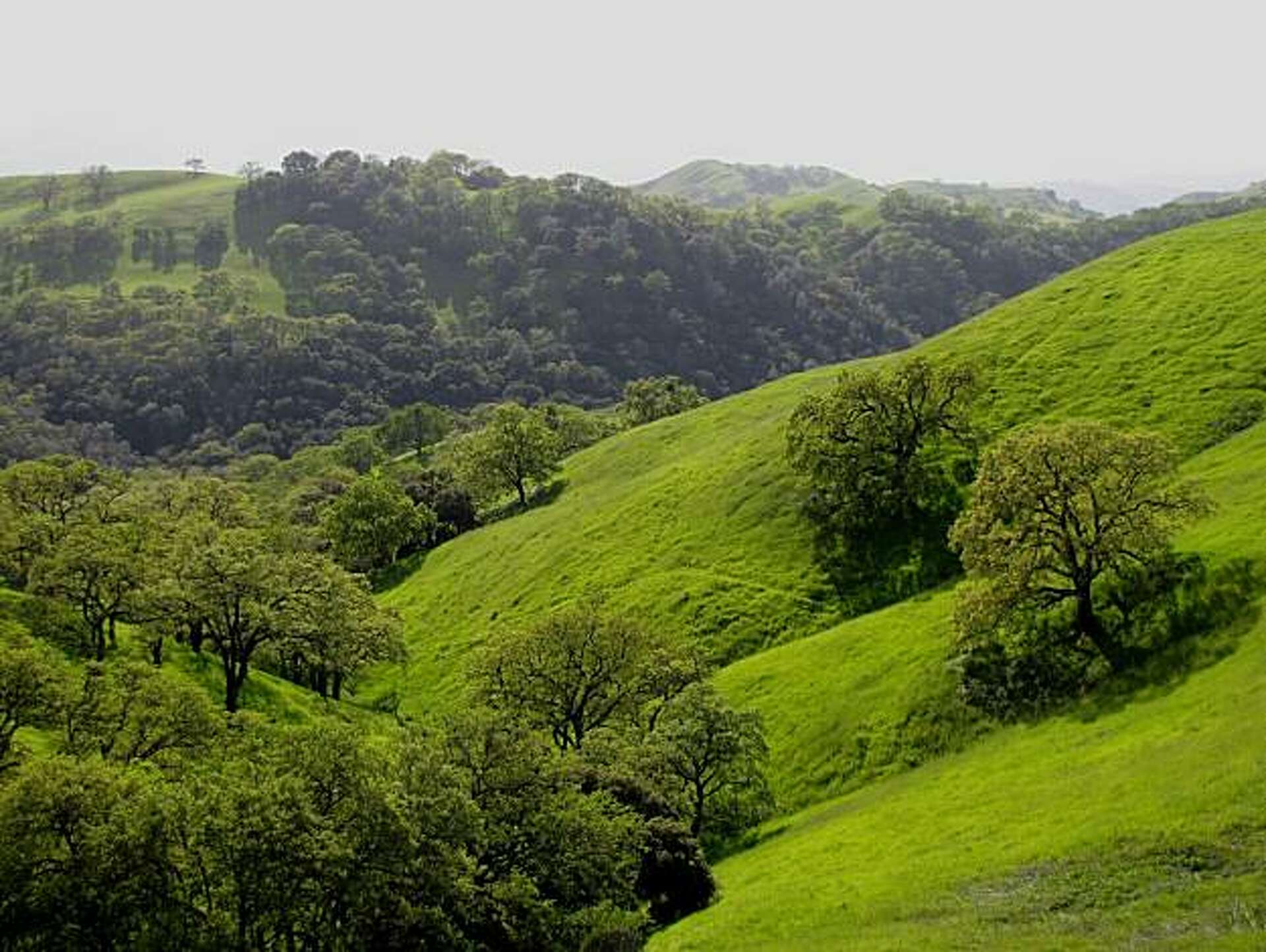 Mount Diablo State Park