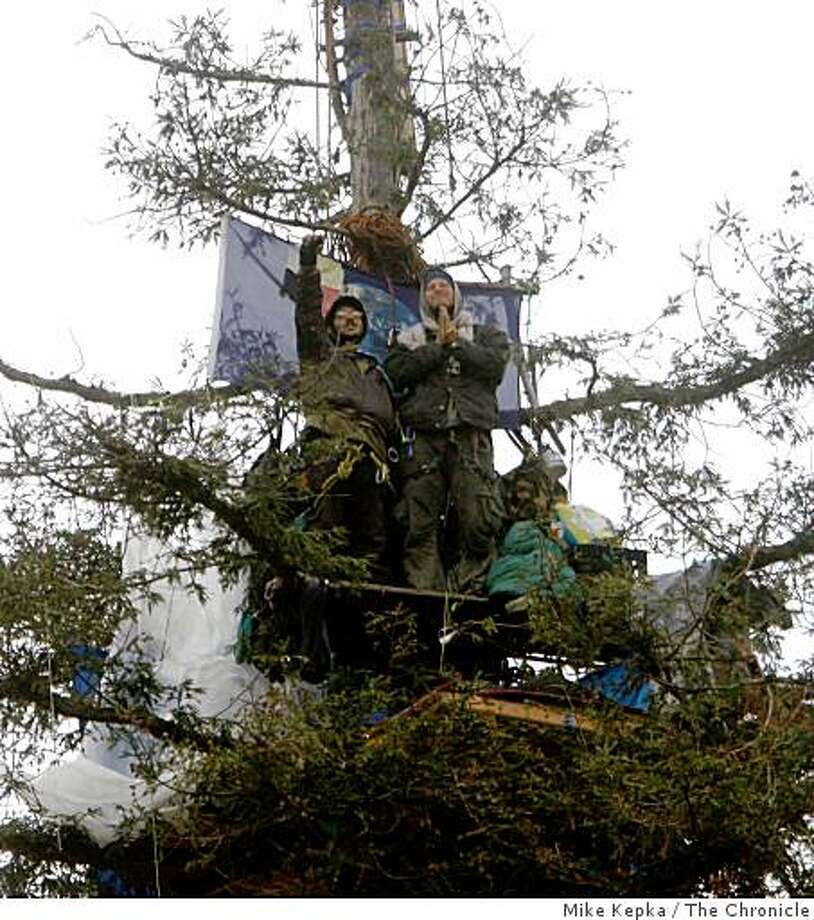 Cal prepares to end tree-sitters' protest - SFGate