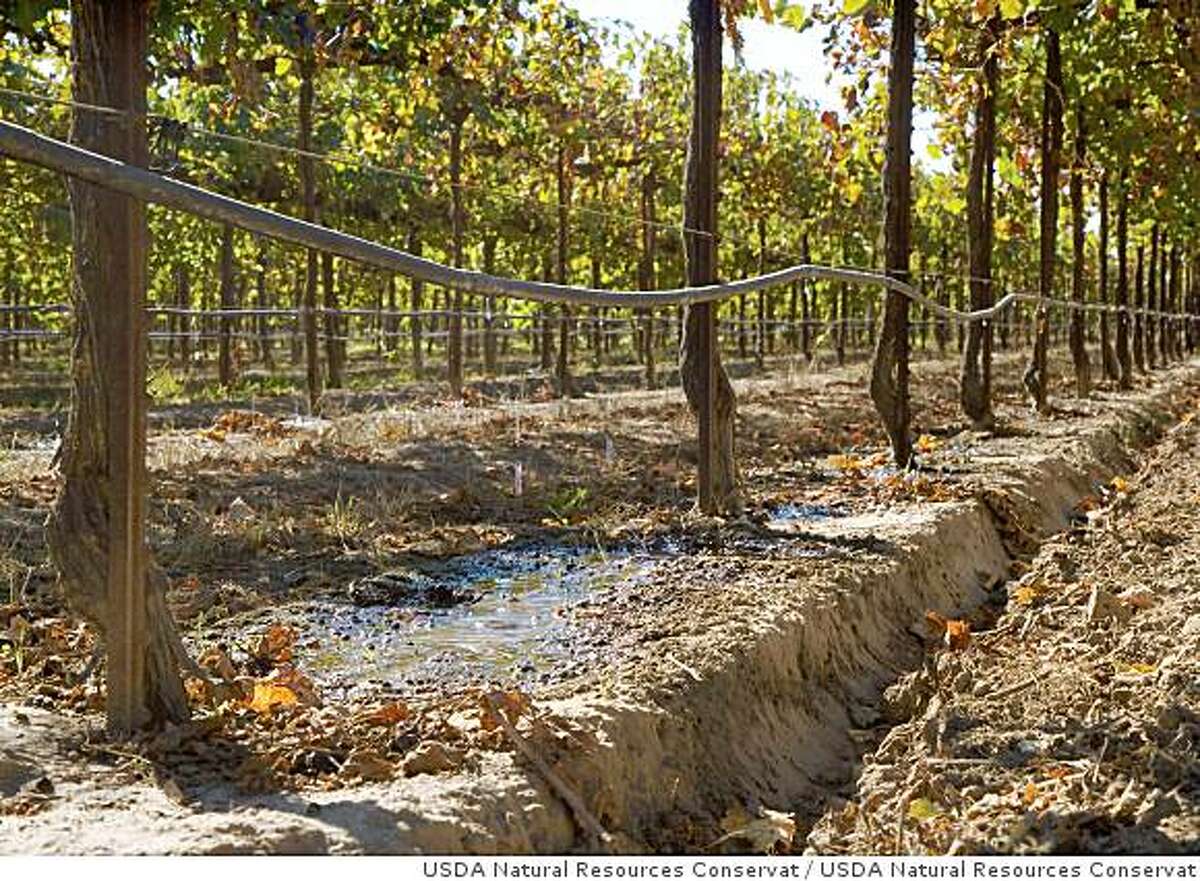 California can grow more food AND take less water from the delta