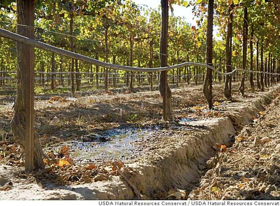 California can grow more food AND take less water from the delta - SFGate