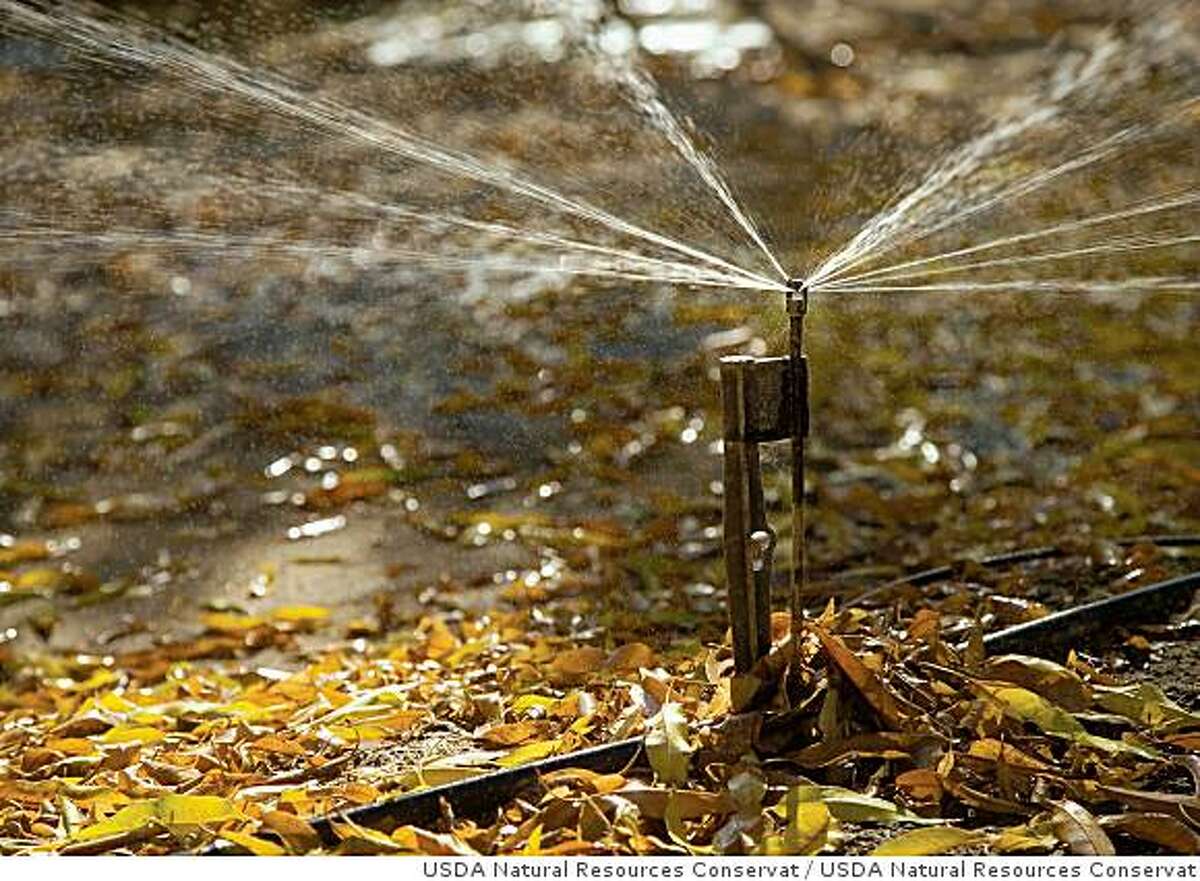 California can grow more food AND take less water from the delta