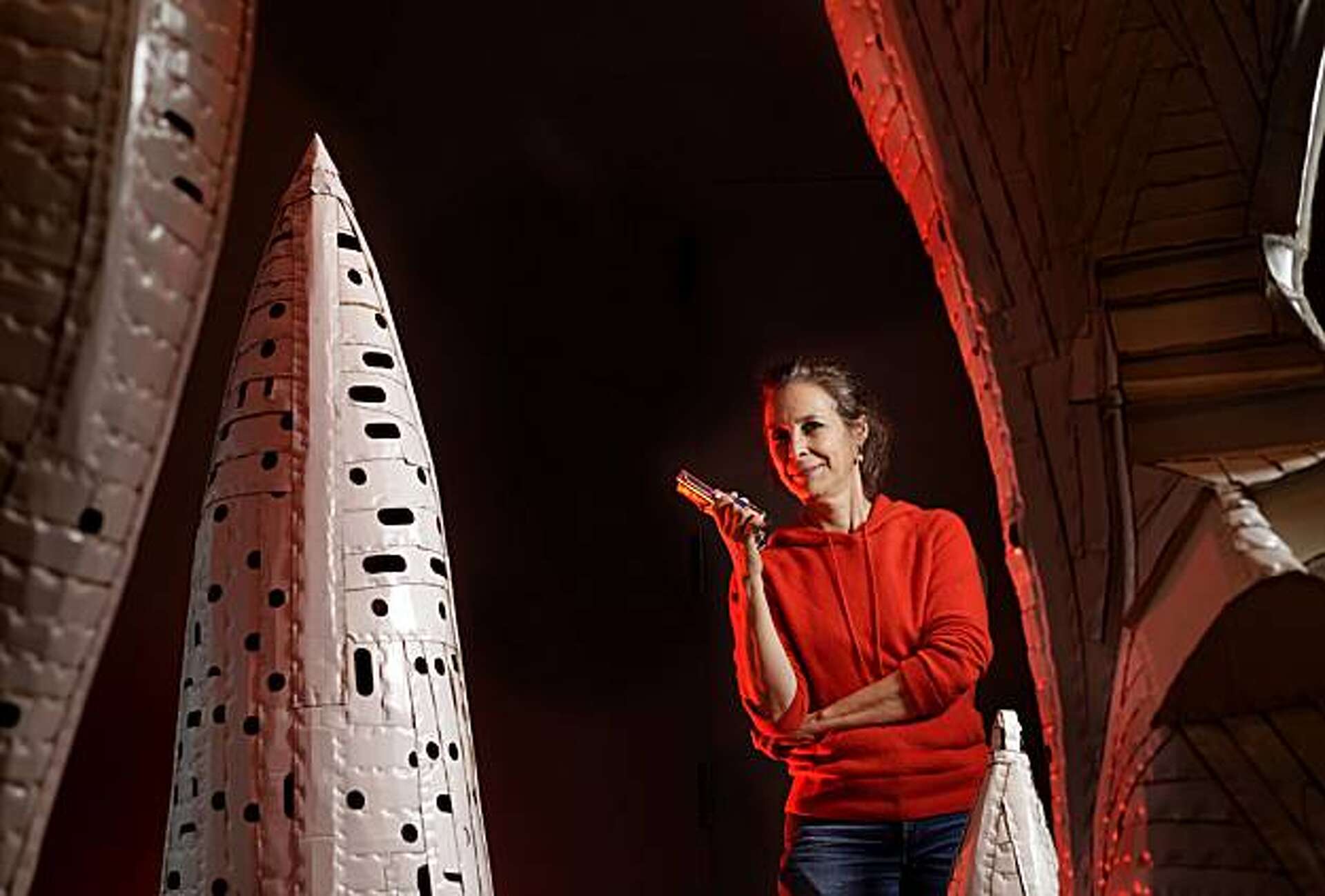 Ann Weber turns cardboard into art