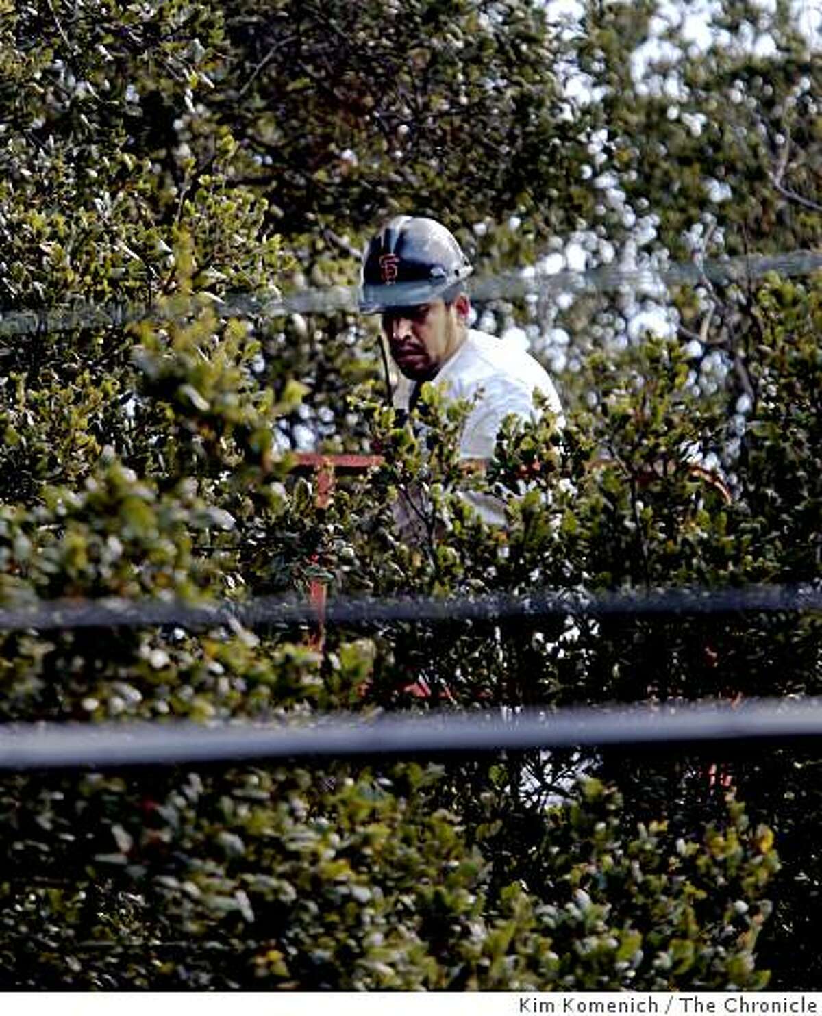 Berkeley tree-sitters still refuse to leave