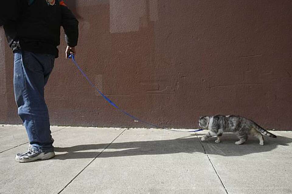 Homeless man reunited with his cat