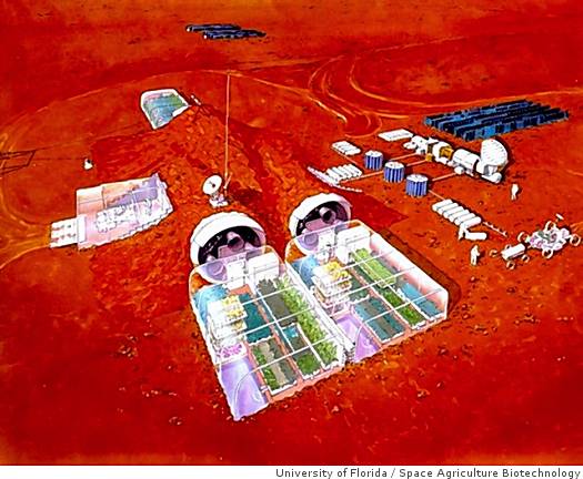 Scientists swap moon, Mars exploration plans