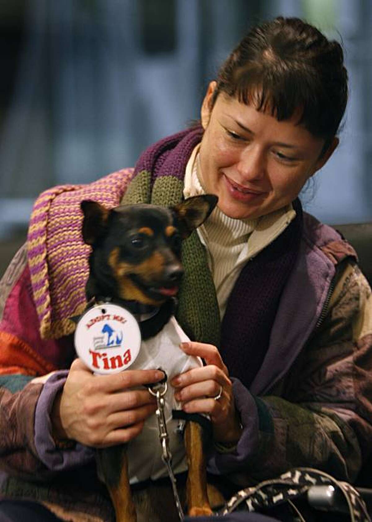 Chihuahuas off to N.Y., flying first class