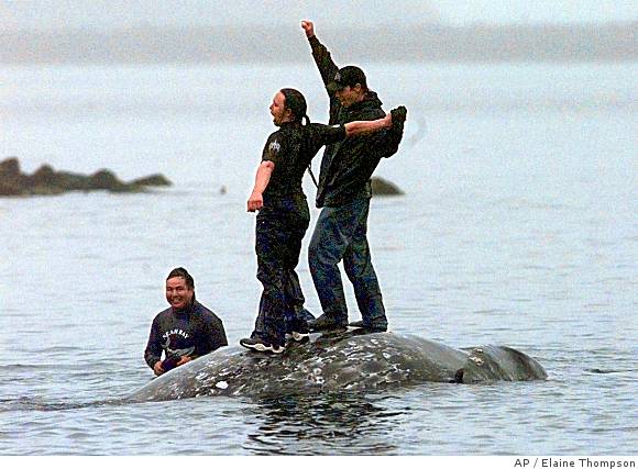 Makah Indians embrace whaling, defend culture