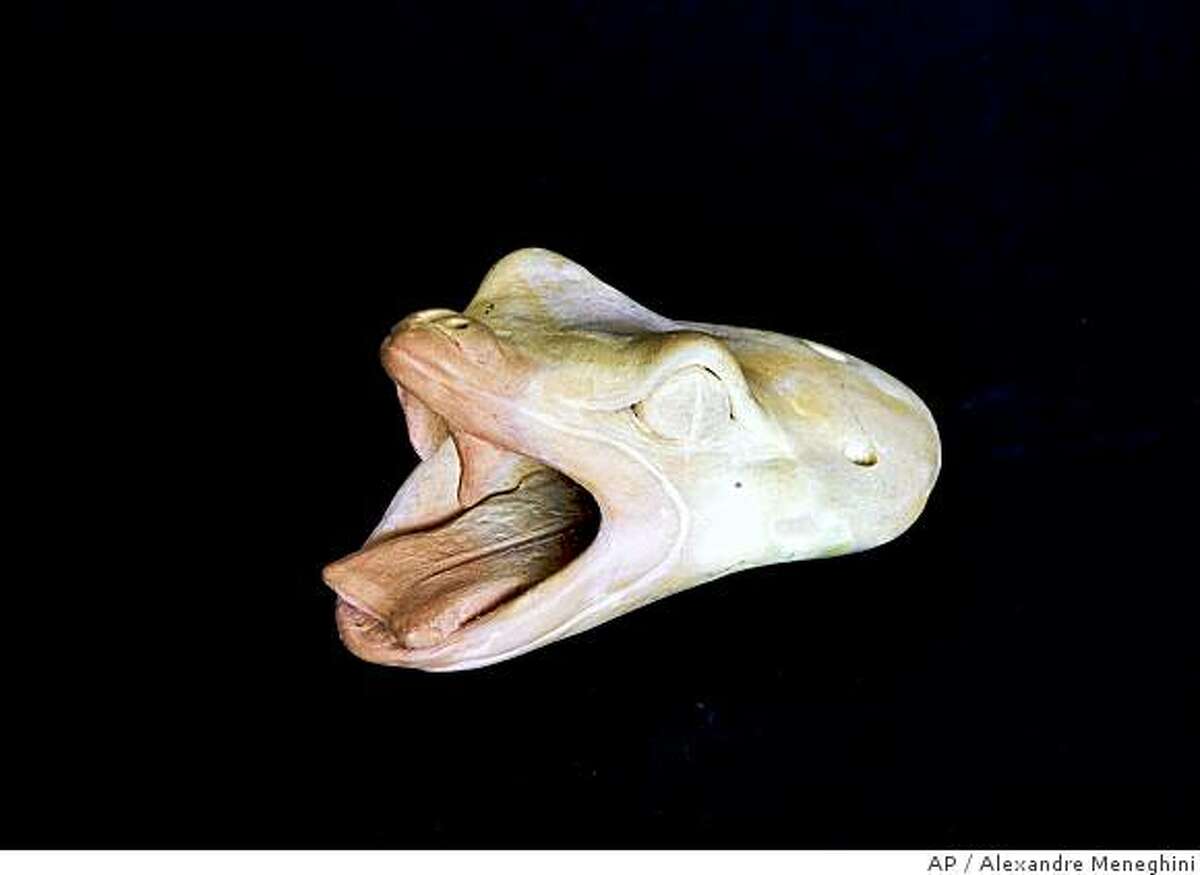 Aztecs' Whistles of Death open ears to ancient culture