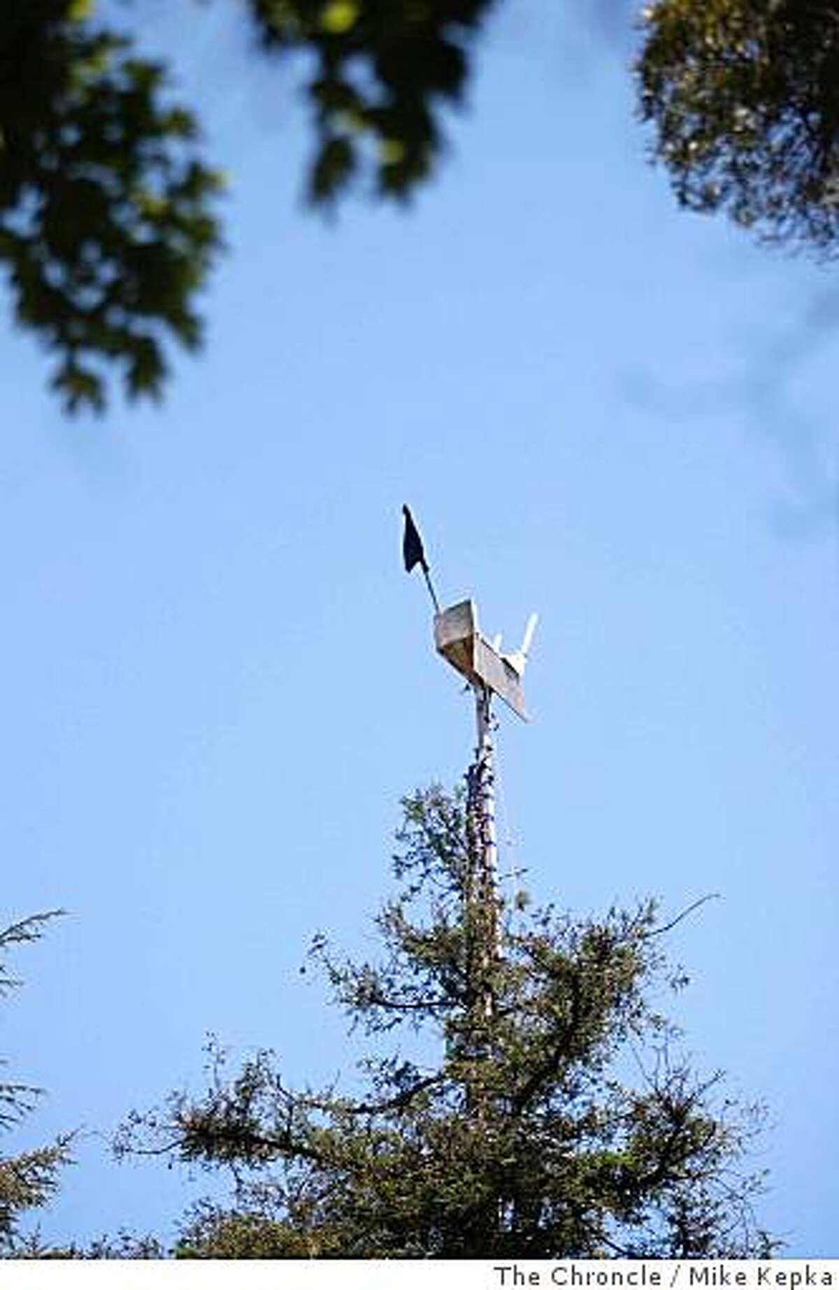 4 Berkeley tree-sitters end protest