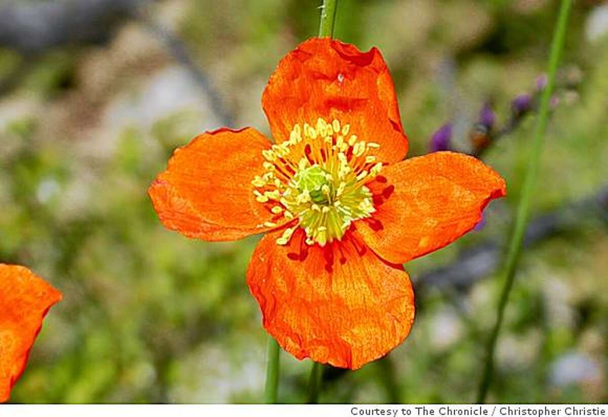 Grim look at state's plant life