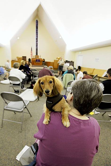 Los Angeles church holds services for pets