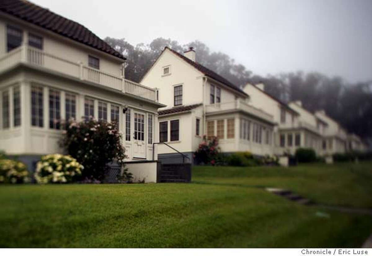 'Finding Nouf,' planting roots