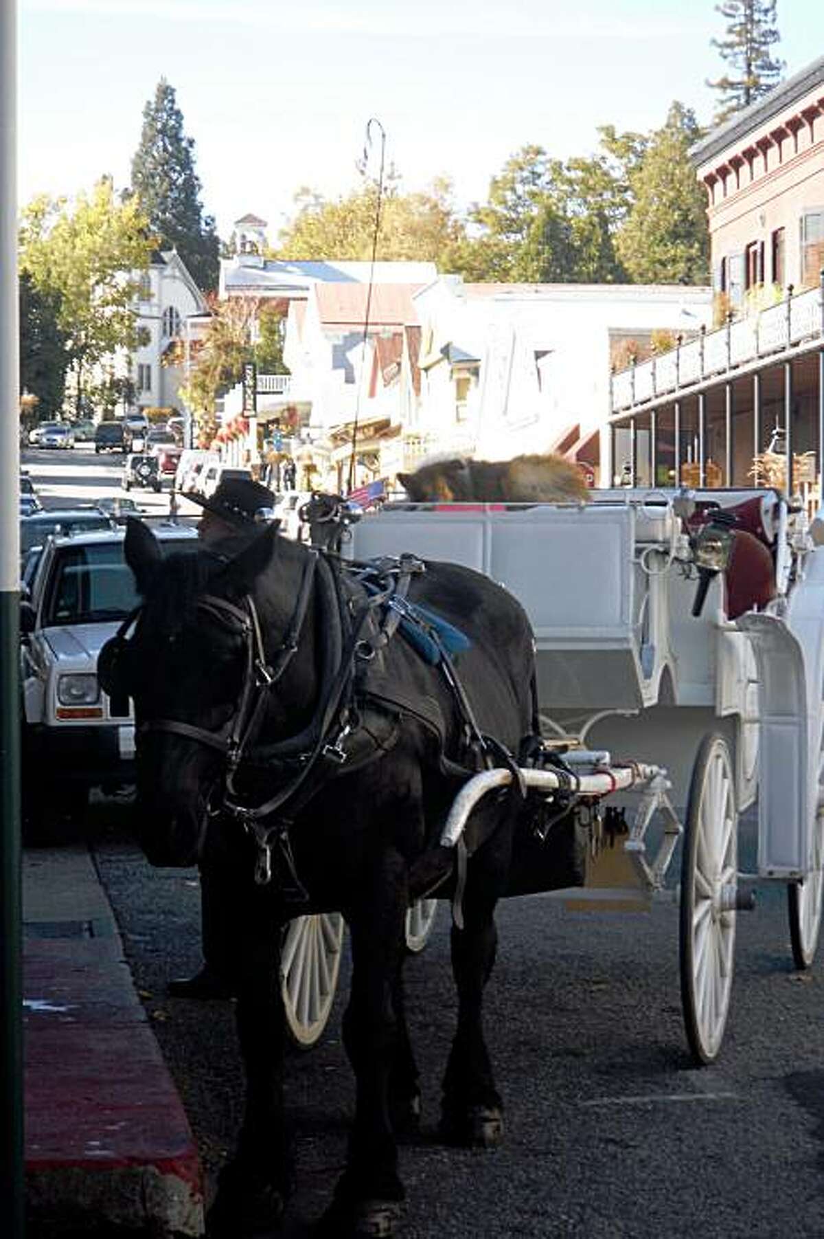 Nevada City has Gold Rush personality