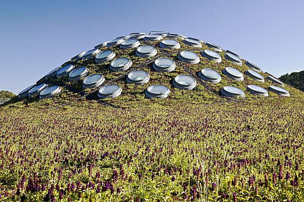 Commercial innovations lead way for green homes