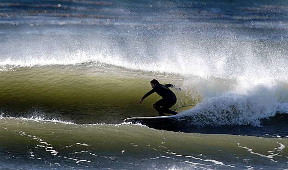 Darryl 'Flea' Virostko - back to Mavericks