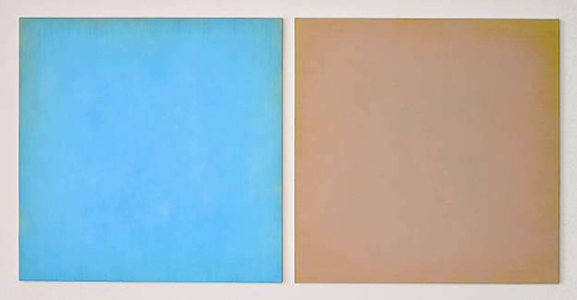 Anne Appleby's paintings link to environment