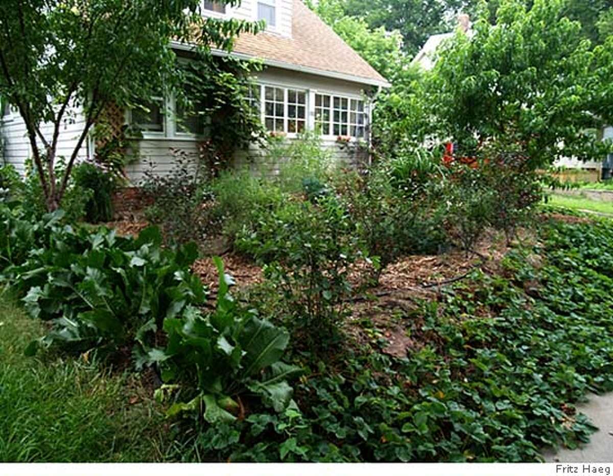 Haeg: Cut the grass, plant an 'Edible Estate'