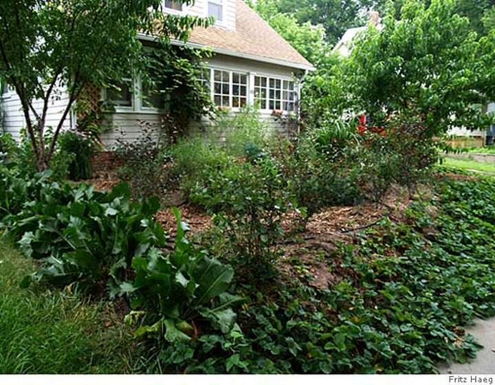 Haeg: Cut the grass, plant an 'Edible Estate'