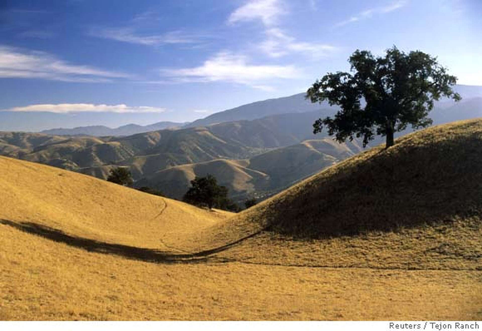 'Conservation on a staggering scale' at Tejon