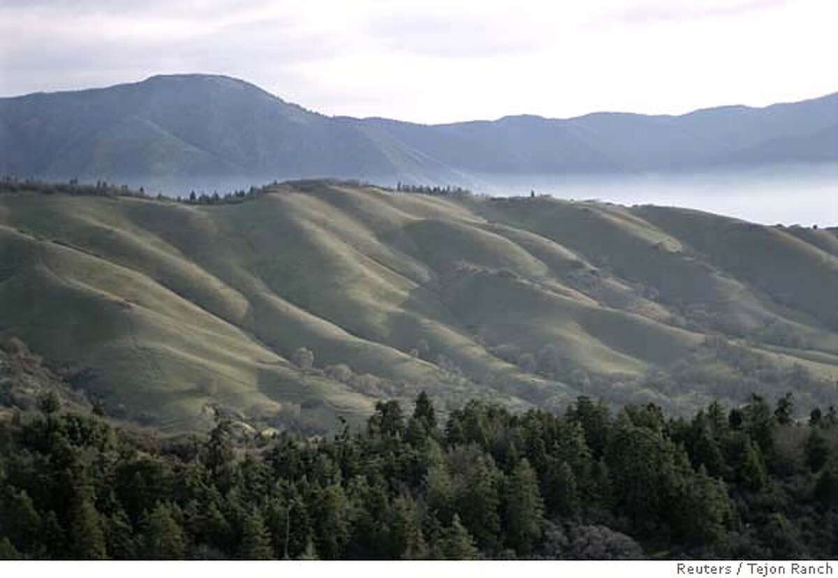 'Conservation on a staggering scale' at Tejon