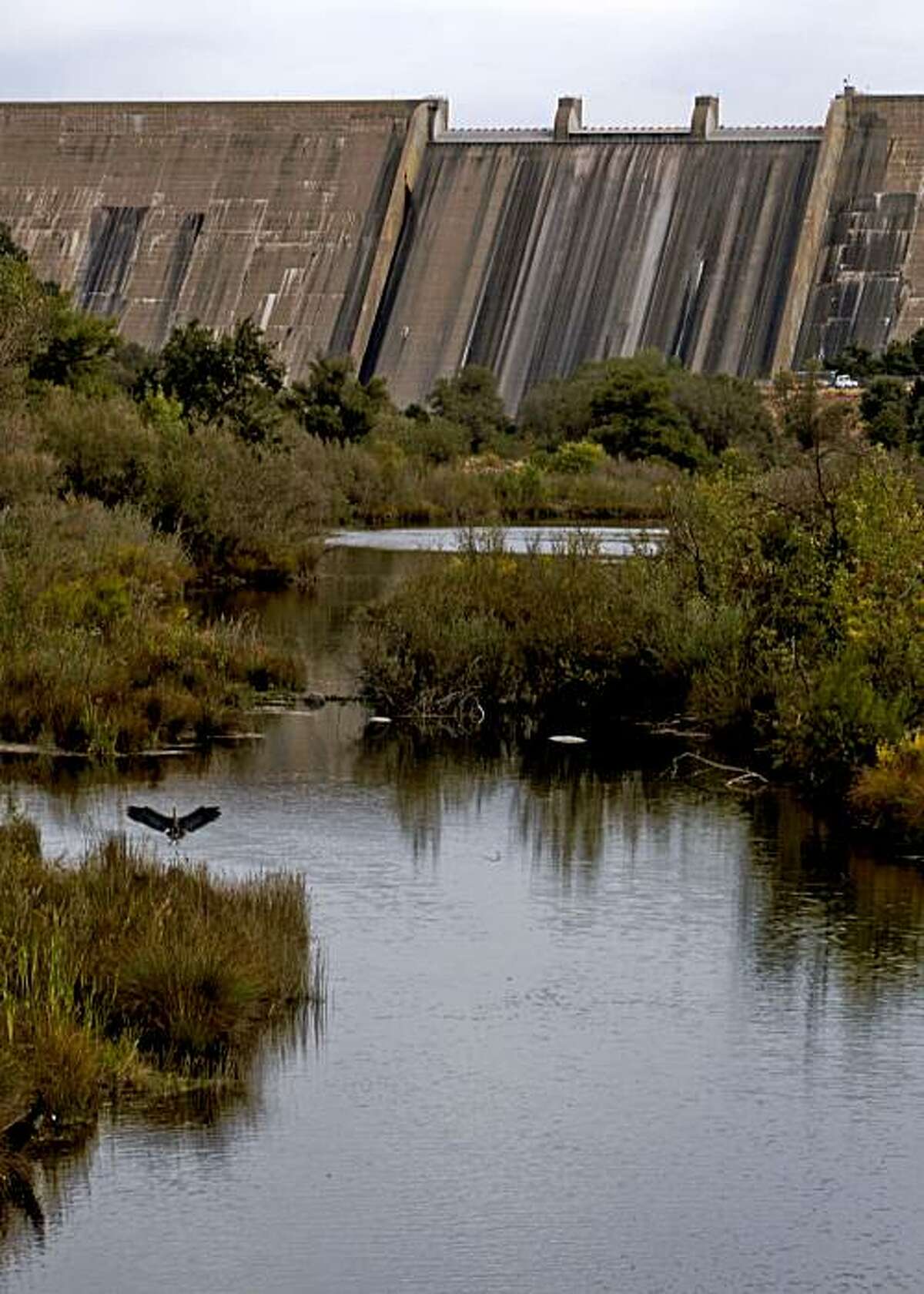 Flows to restore San Joaquin River start today