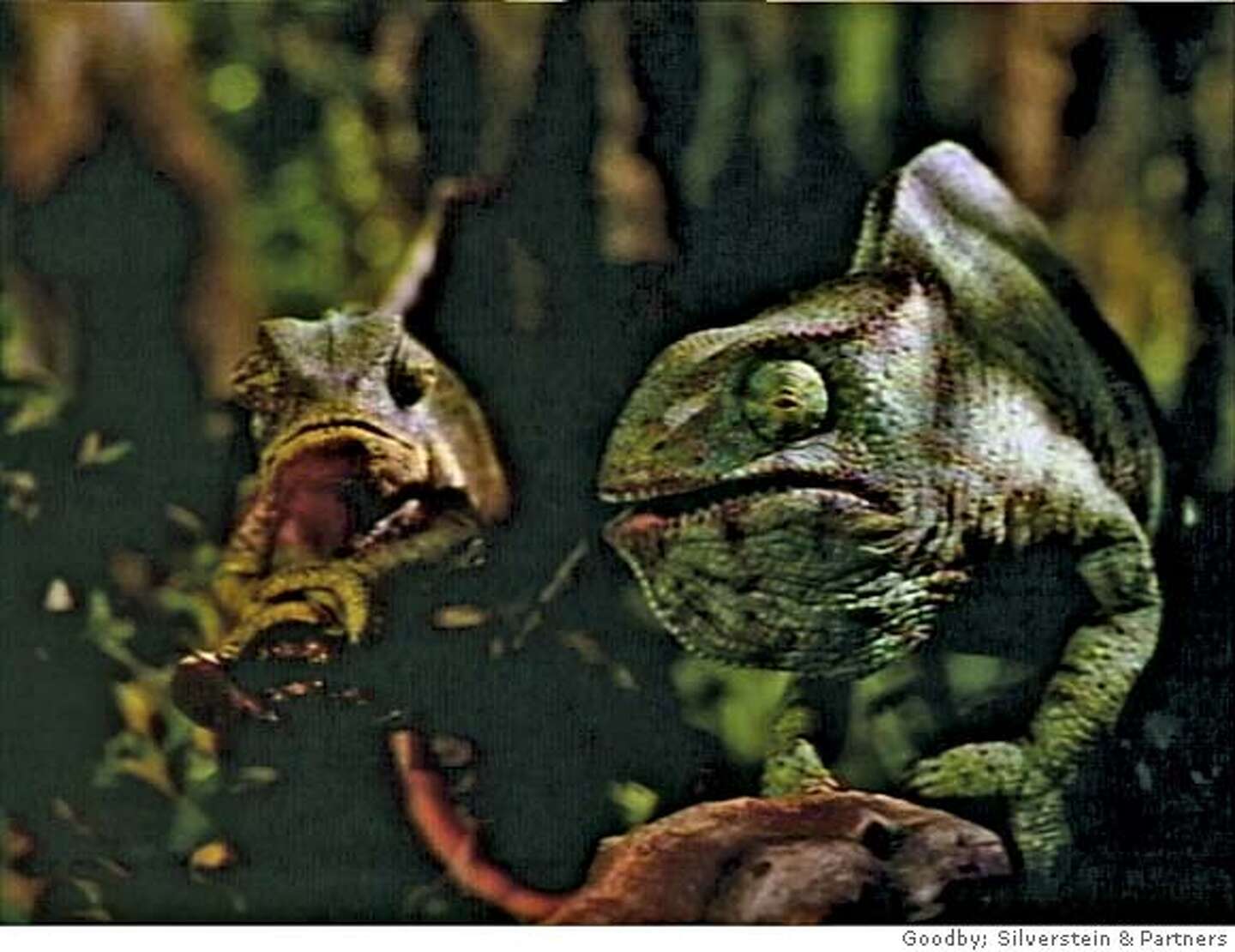 Goodby, Silverstein agency celebrates 25 years