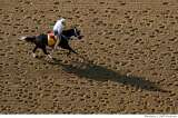 Horse racing comes under fire after death of Eight Belles