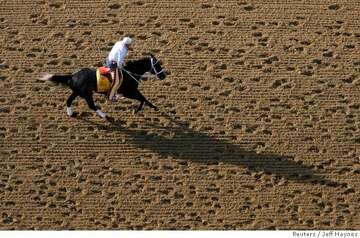 Horse racing comes under fire after death of Eight Belles