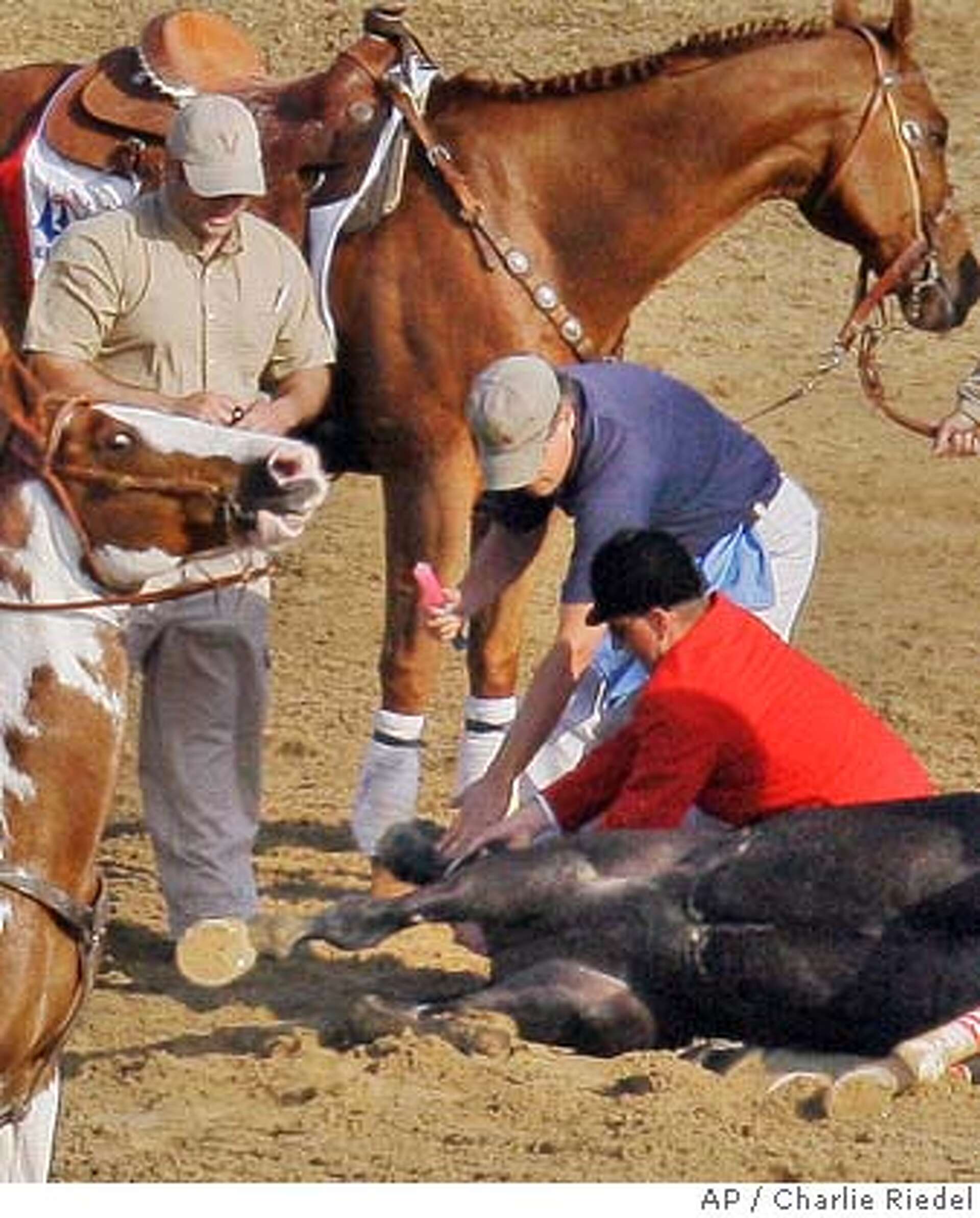 Horse racing comes under fire after death of Eight Belles