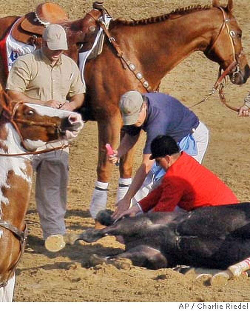 Horse racing comes under fire after death of Eight Belles