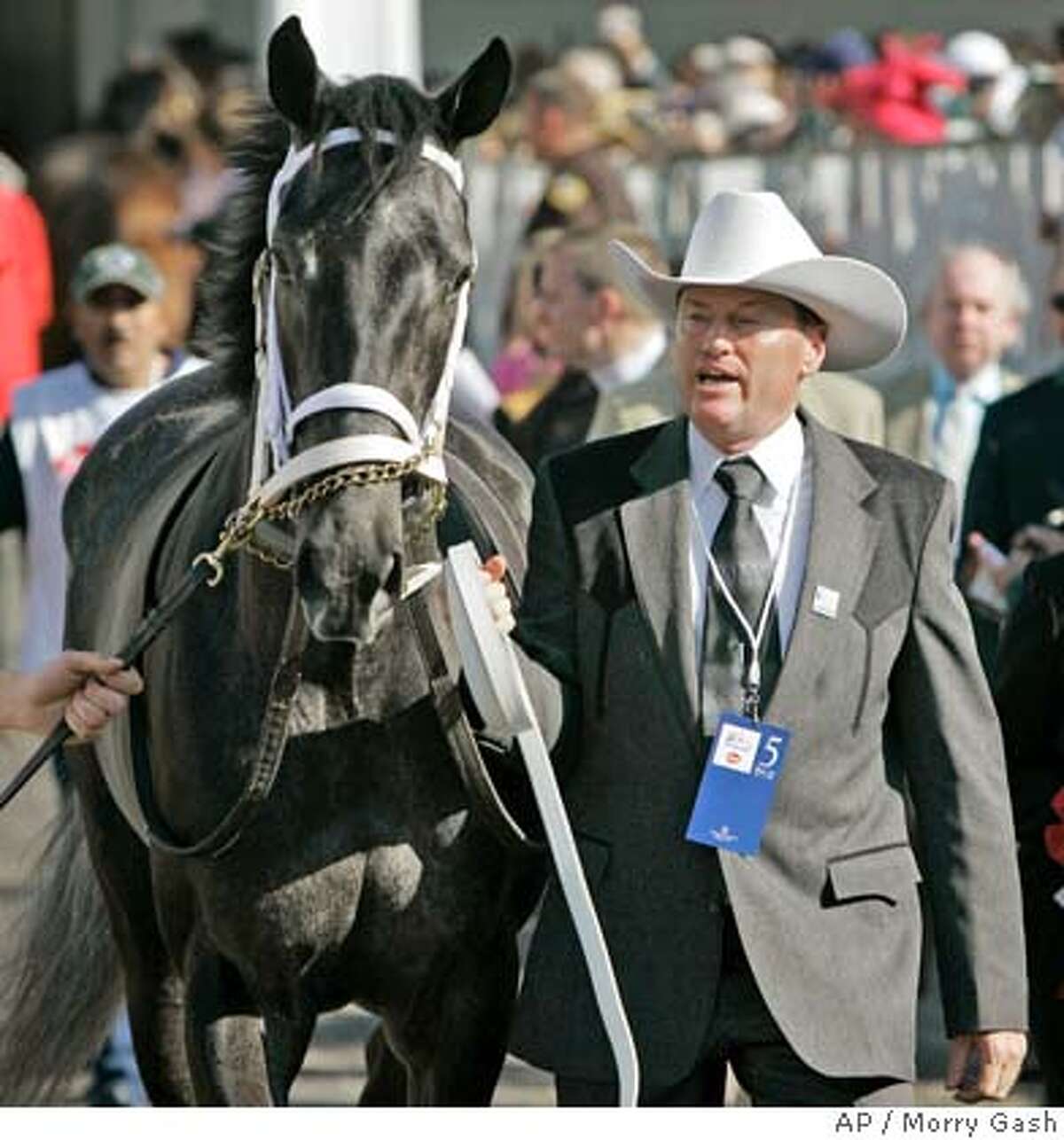 Horse racing comes under fire after death of Eight Belles