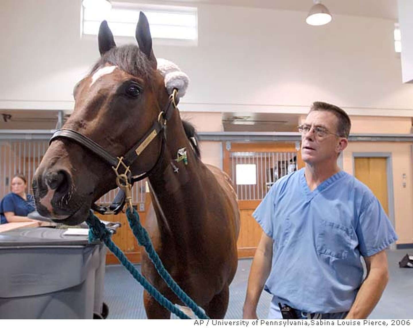 Horse racing comes under fire after death of Eight Belles