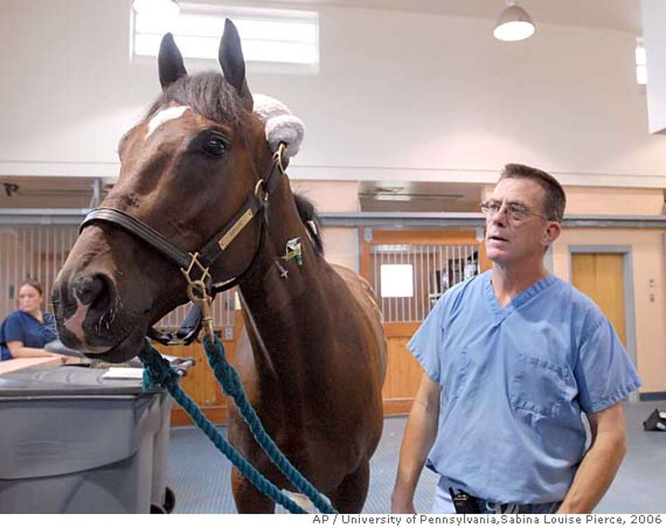 Horse racing comes under fire after death of Eight Belles